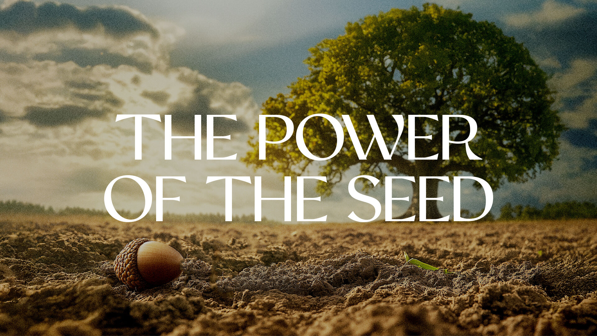 Sermon Series: The Power of the Seed